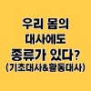 기초대사량 올리고 싶은 분들 모이세요 기초대사량 And 활동대사 먼저 알아볼게요 네이버 블로그